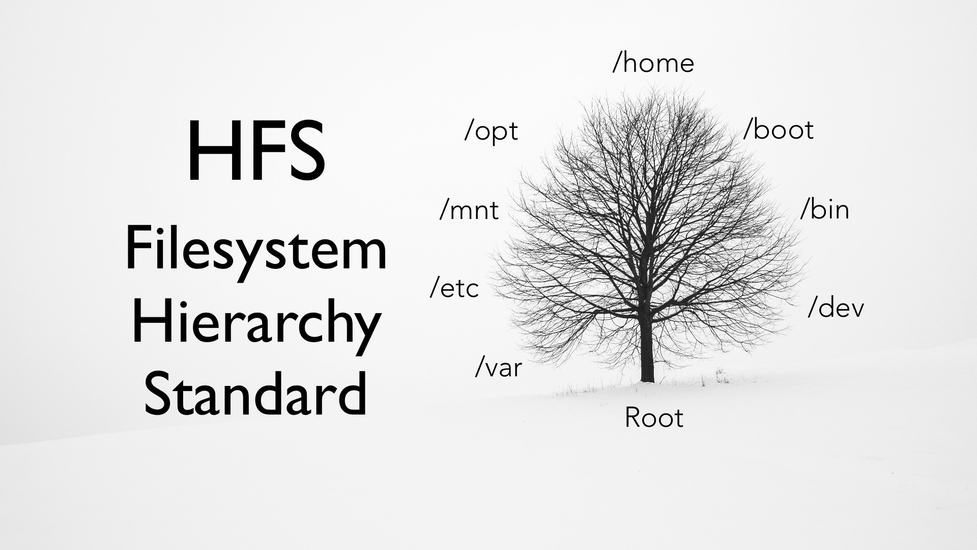 El Árbol Jerárquico Estándar de Directorios en Linux